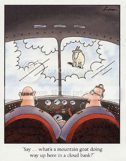 Gary Larson flying cartoons - AvCom